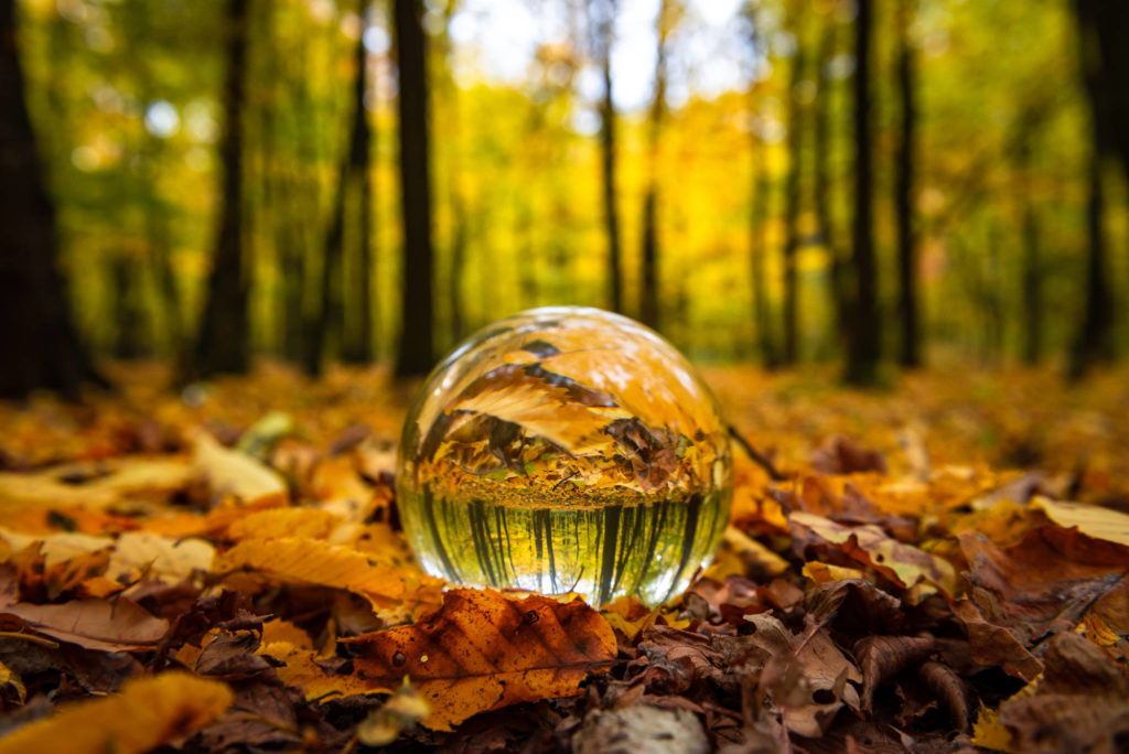 Lensball 100mm HD Set - Lensball Australia