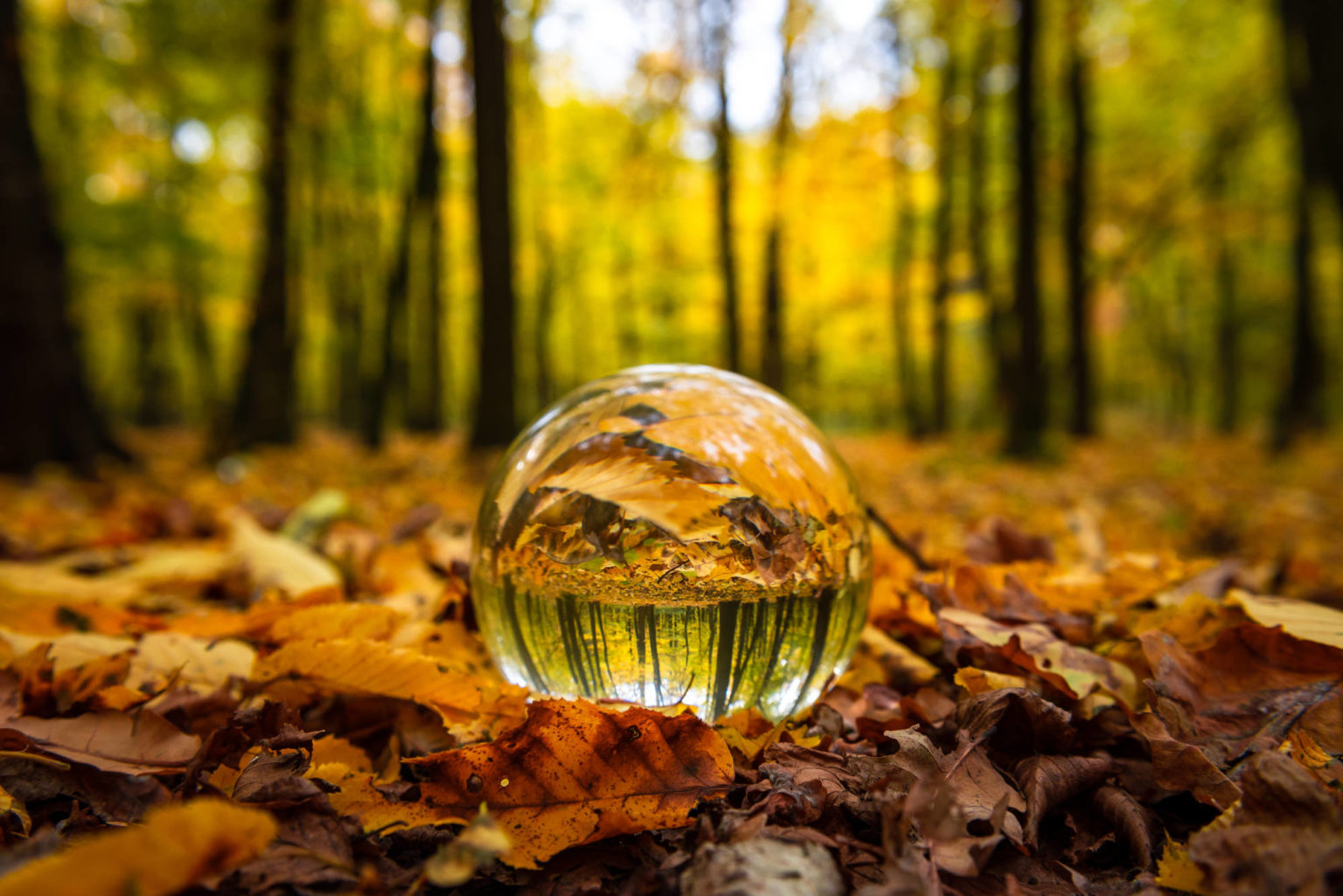 Lensball 100mm HD Set - Lensball Australia